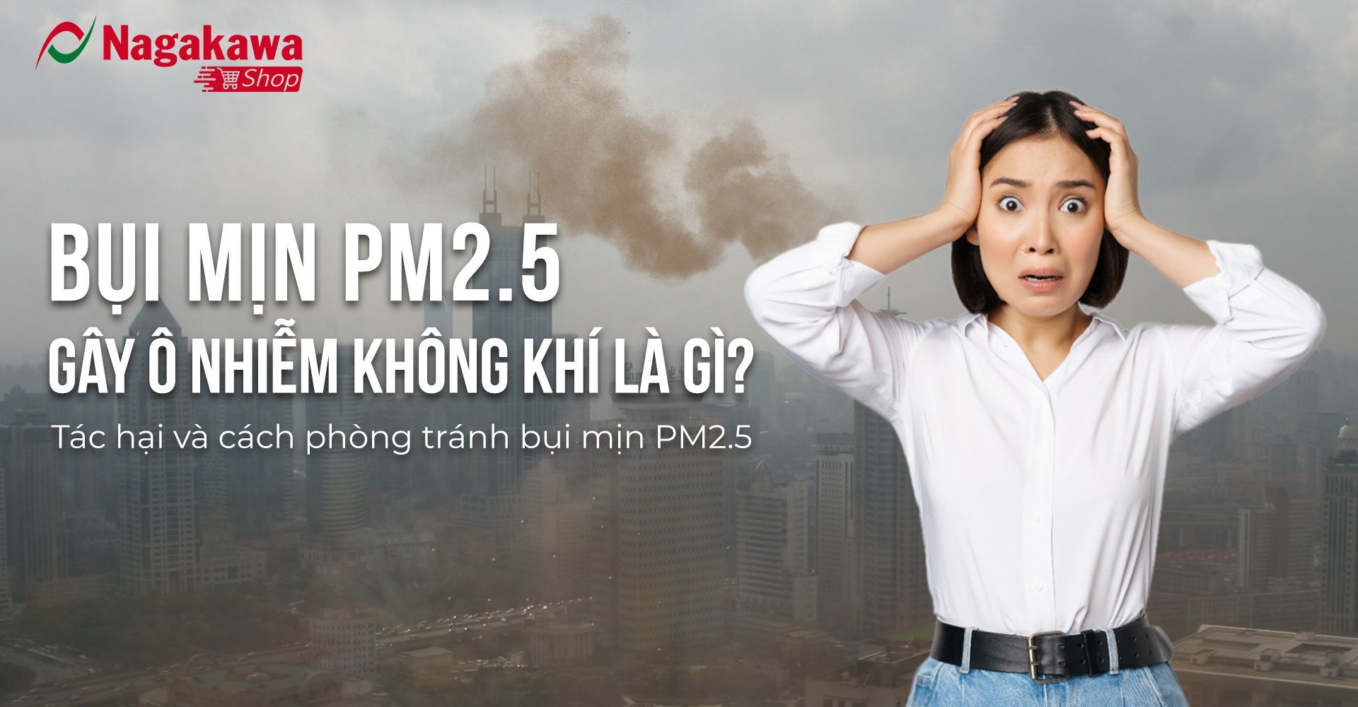 Bụi mịn PM2.5 gây ô nhiễm không khí là gì? Tác hại và cách phòng tránh bụi mịn PM2.5